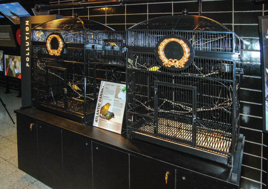 National Aviary - Kolano Design