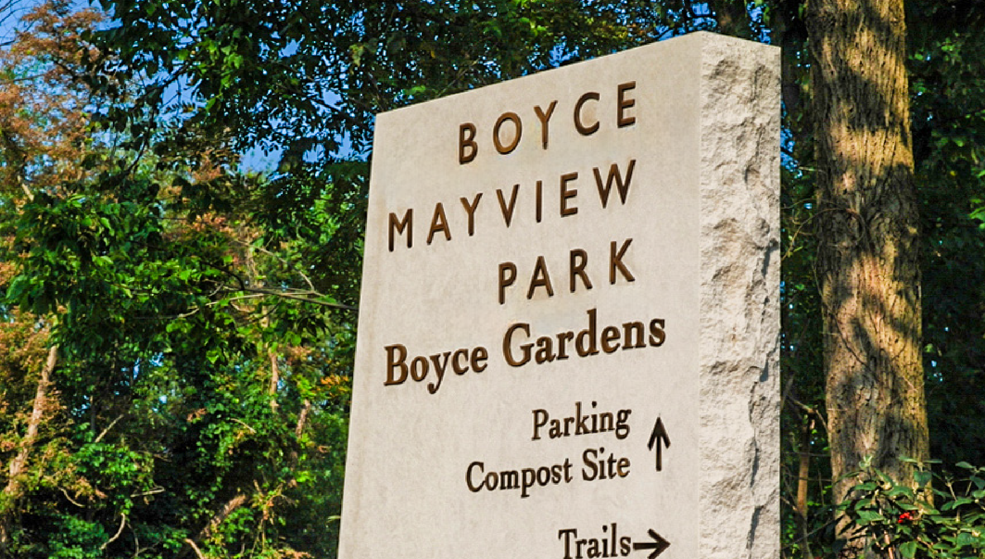 Portfolio - Kolano Design